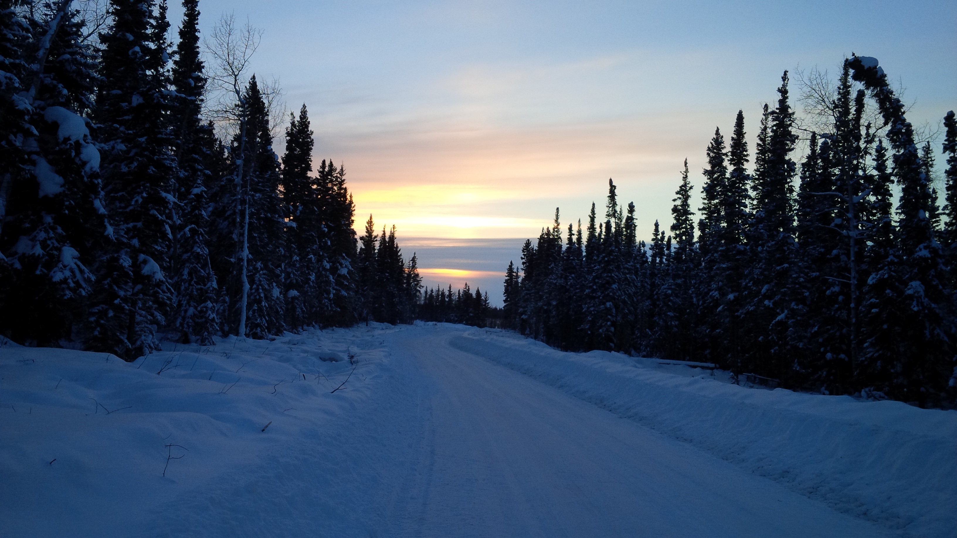 Weirdism Wednesday | In the Net! – Pictures and Stories of Life