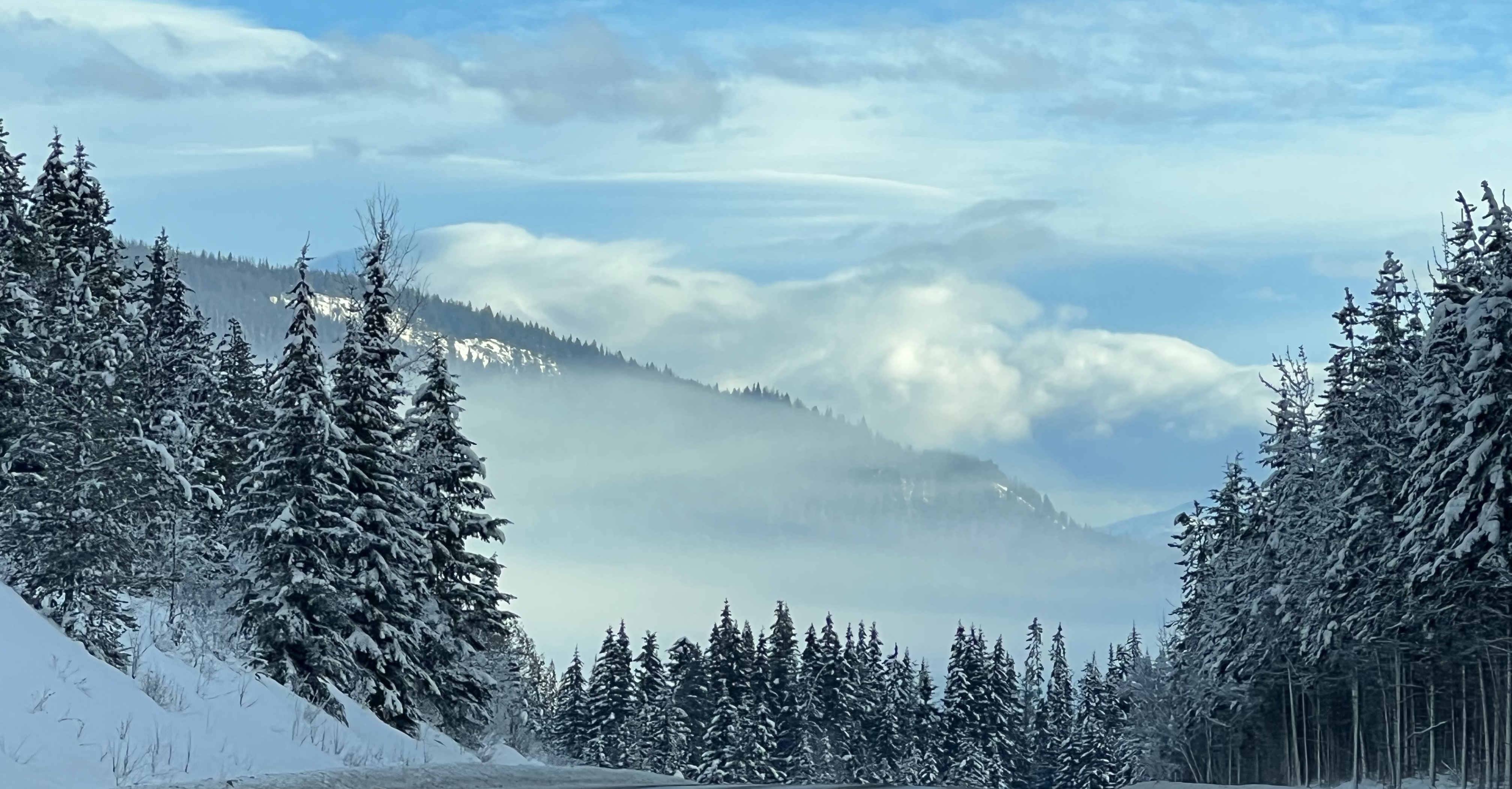 January Scenes | In the Net! – Pictures and Stories of Life