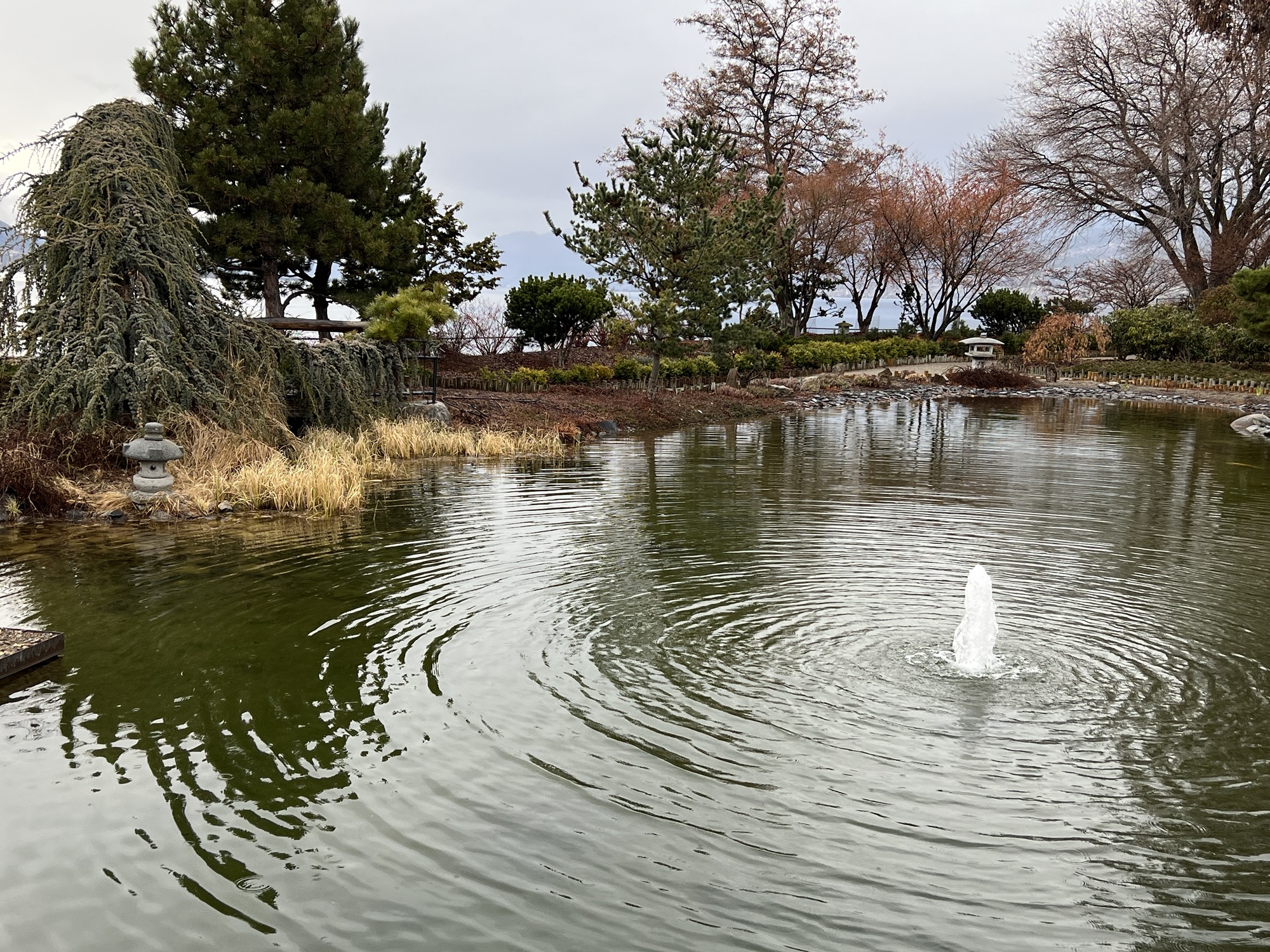 Slow Rain | In the Net! – Pictures and Stories of Life