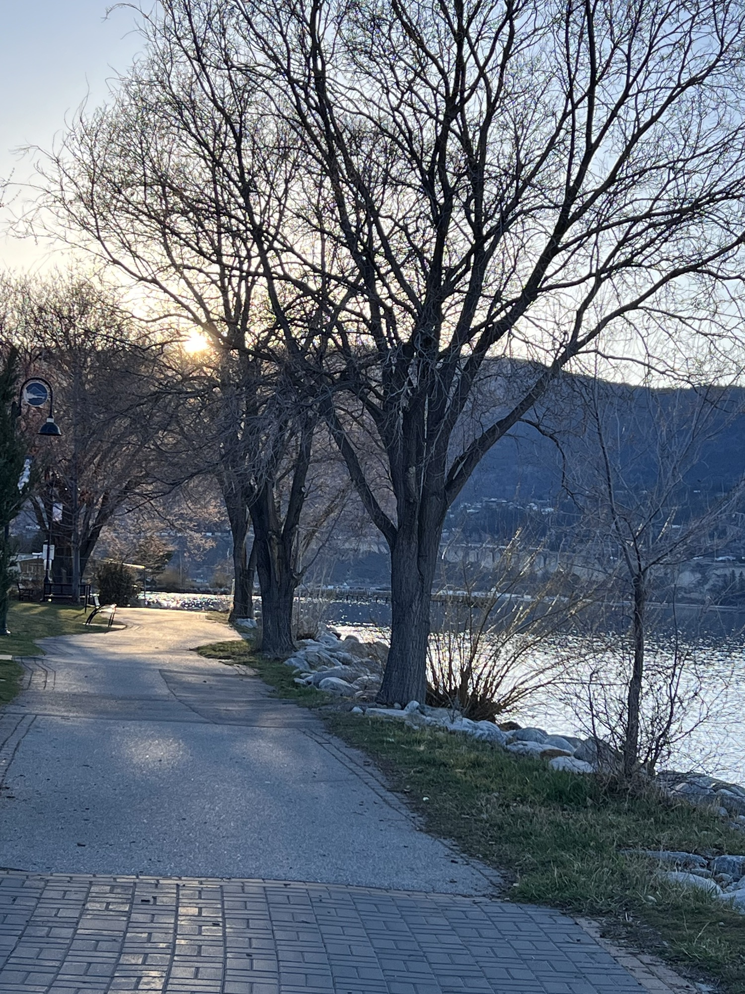 Evening Paths | In the Net! – Pictures and Stories of Life