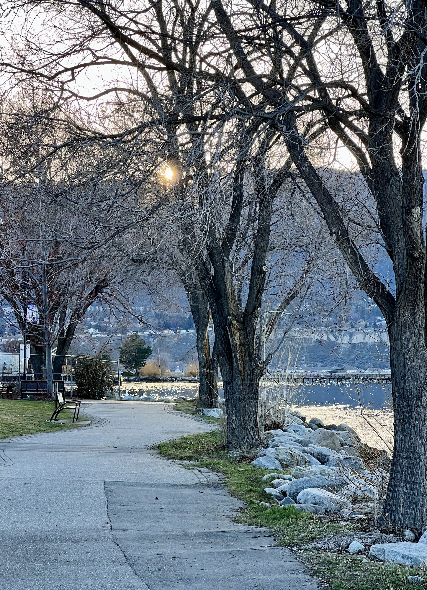 Clicks | In the Net! – Pictures and Stories of Life