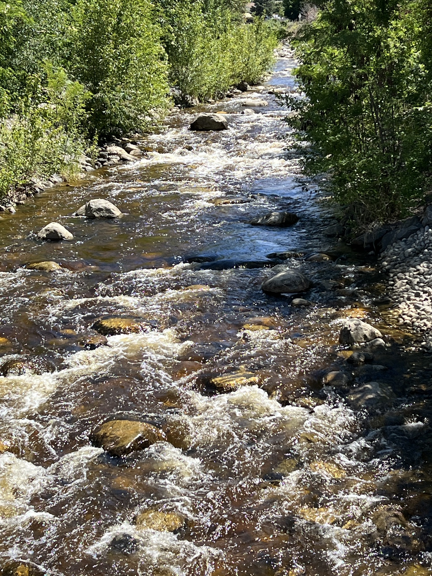 Creek Time | In the Net! – Pictures and Stories of Life