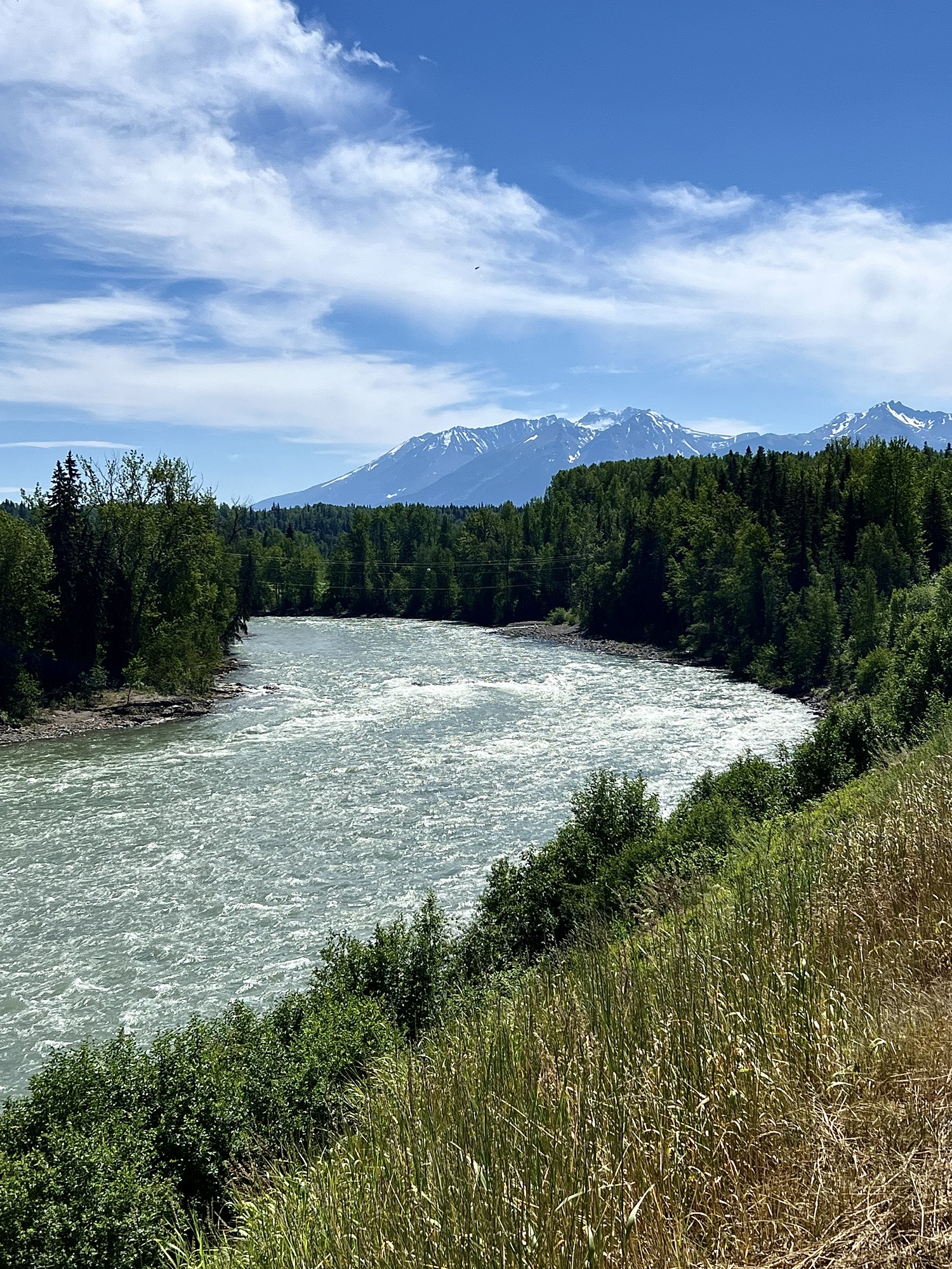 Bulkley River | In the Net! – Pictures and Stories of Life