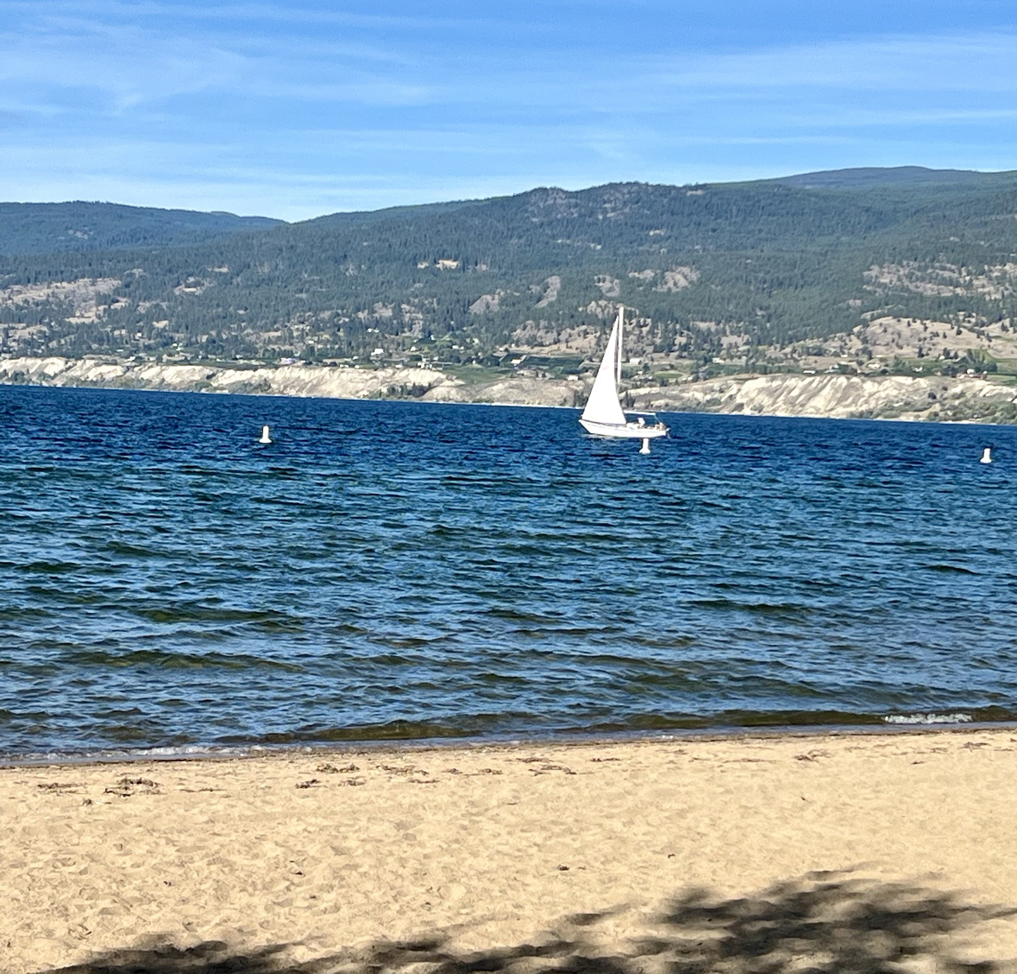 Sailboat Sunday | In the Net! – Pictures and Stories of Life