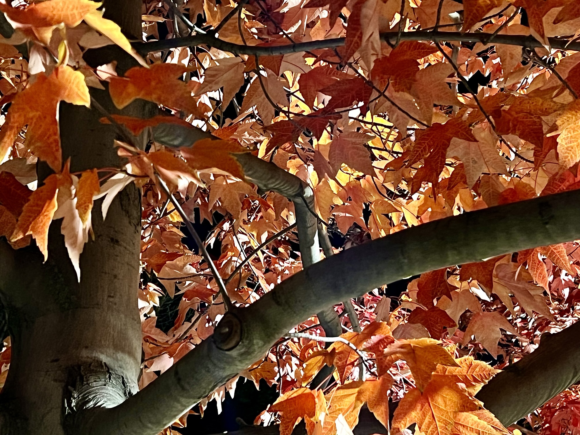 Snapshots | In the Net! – Pictures and Stories of Life