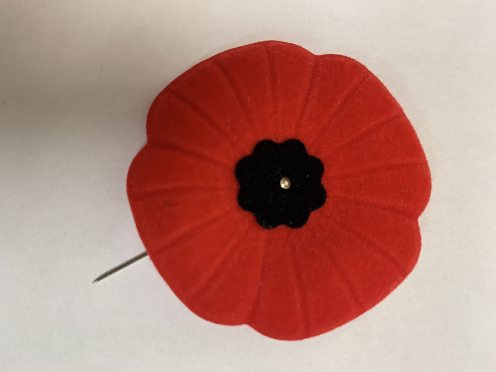 Remembrance Day | In the Net! – Pictures and Stories of Life