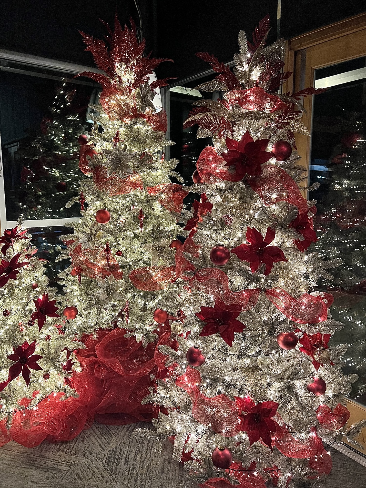 If You Celebrate … | In the Net! – Pictures and Stories of Life