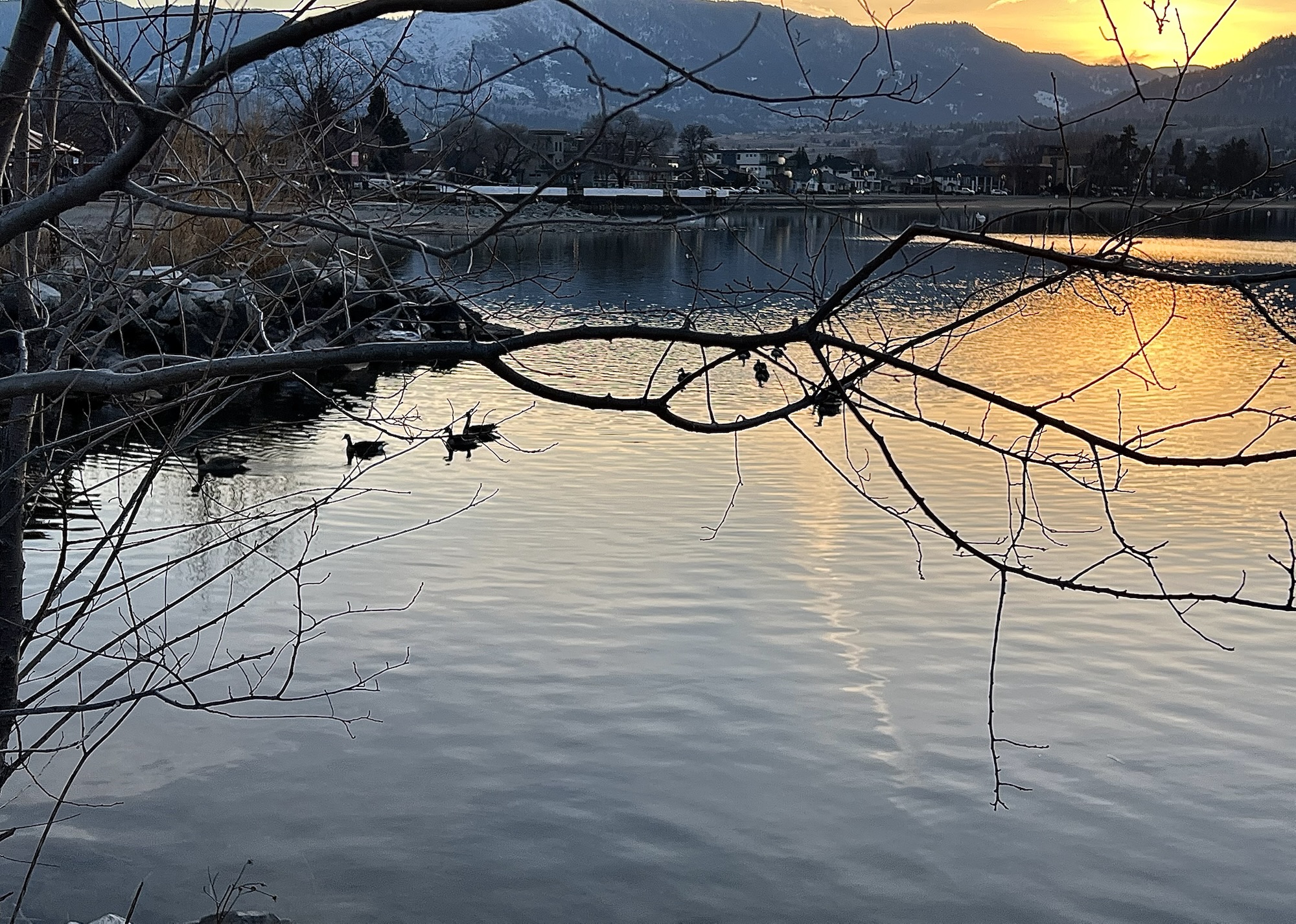 Heading Home | In the Net! – Pictures and Stories of Life