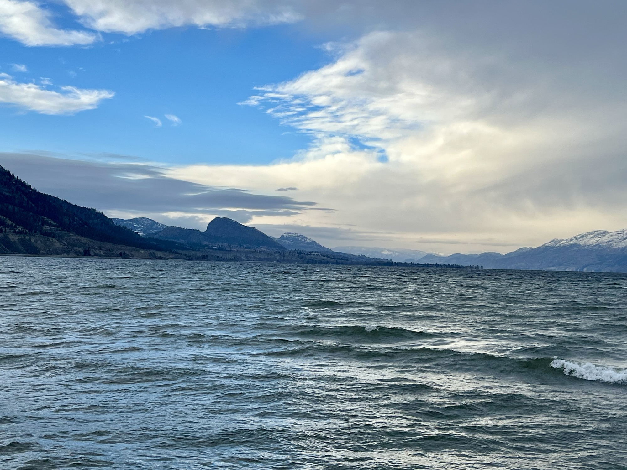 Blustery Weather | In the Net! – Pictures and Stories of Life