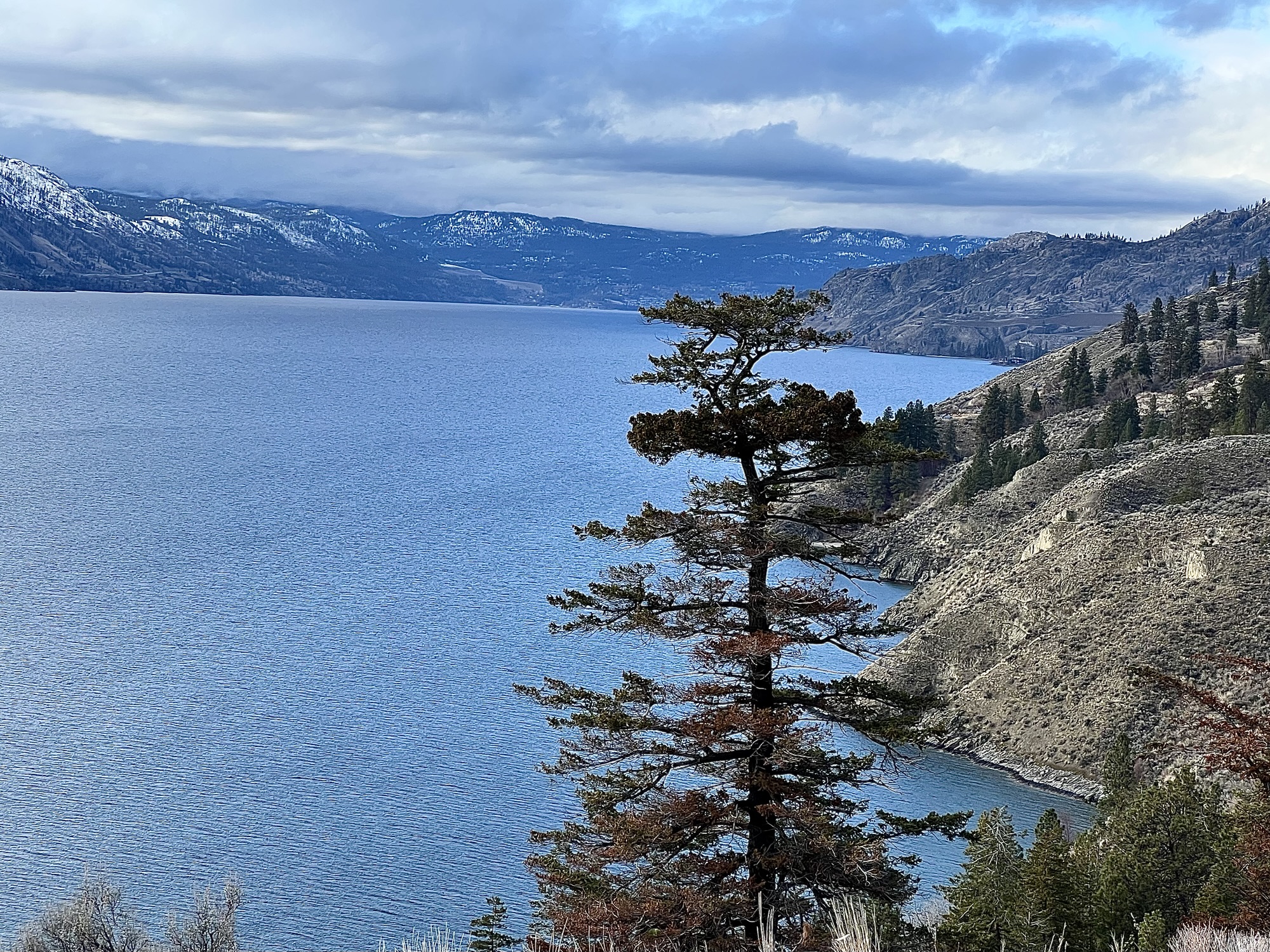 Sleeping … | In the Net! – Pictures and Stories of Life