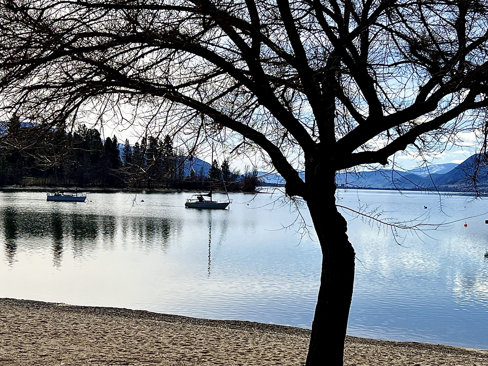 A Good Day for … | In the Net! – Pictures and Stories of Life